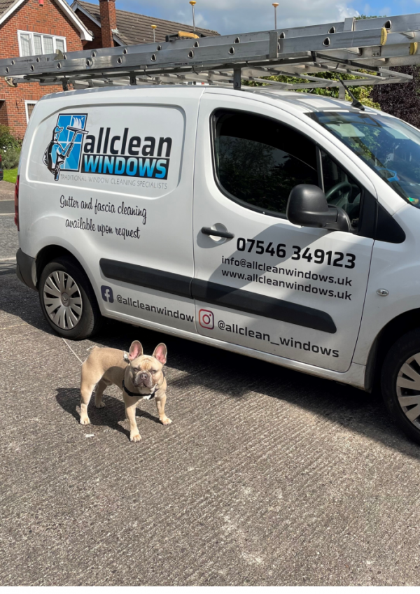 About - Allclean Windows